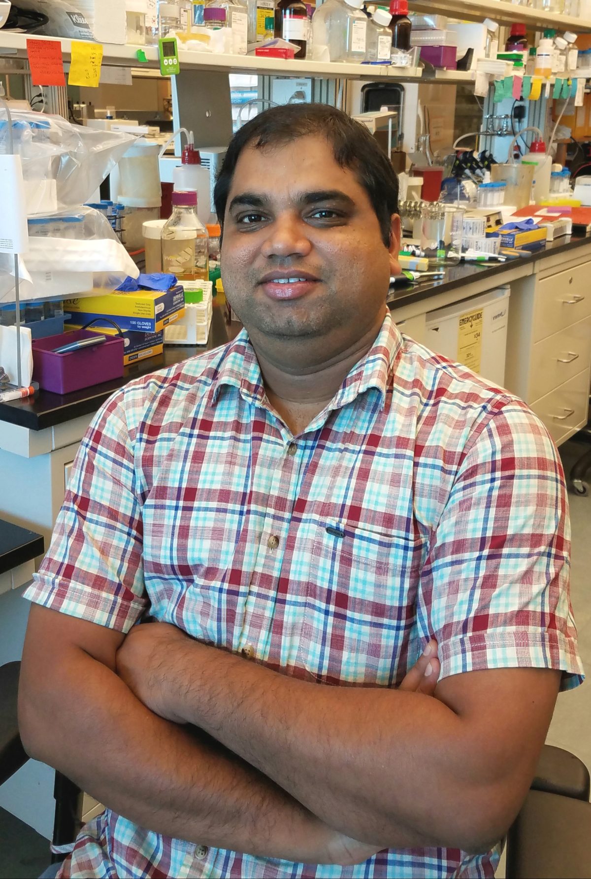 PEOPLE – Shiekhattar Lab